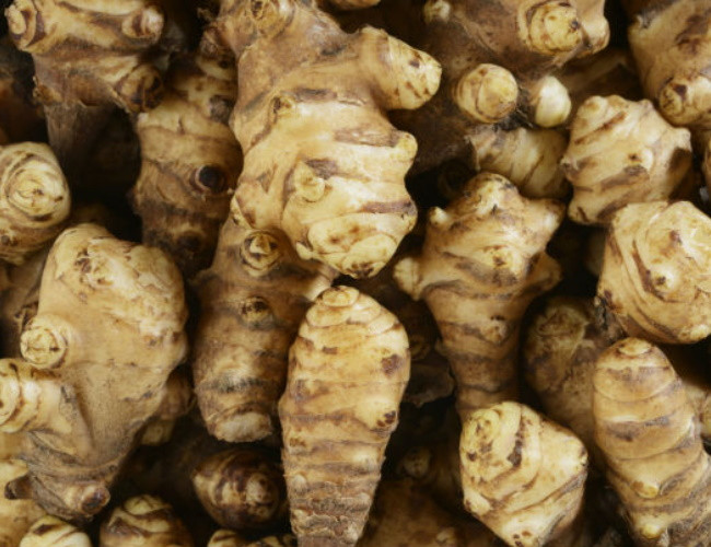 Biologische De A van Aardpeer