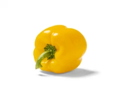 Biologische Gele Paprika