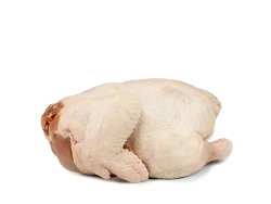 Biologische Soepkip