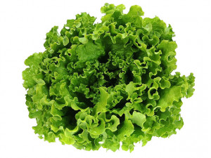 Biologische Hofweb Groente Pakket - 4-5 pers - Hofweb