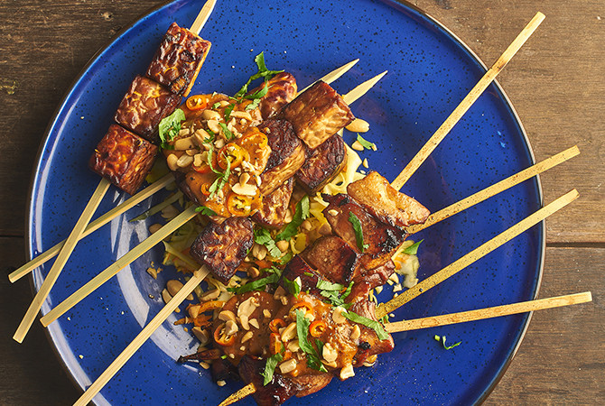 Biologische Saté Ayam of Saté Tempeh (vega) - Hofweb